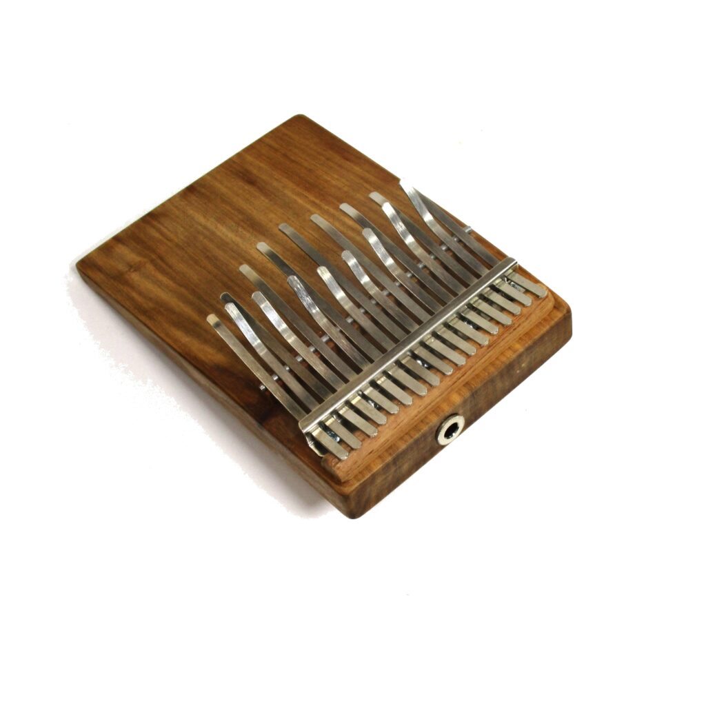 SaReGaMa Lotus Karimba - 3 Hugh Tracey Kalimbas, Karimbas and SaReGaMas ...